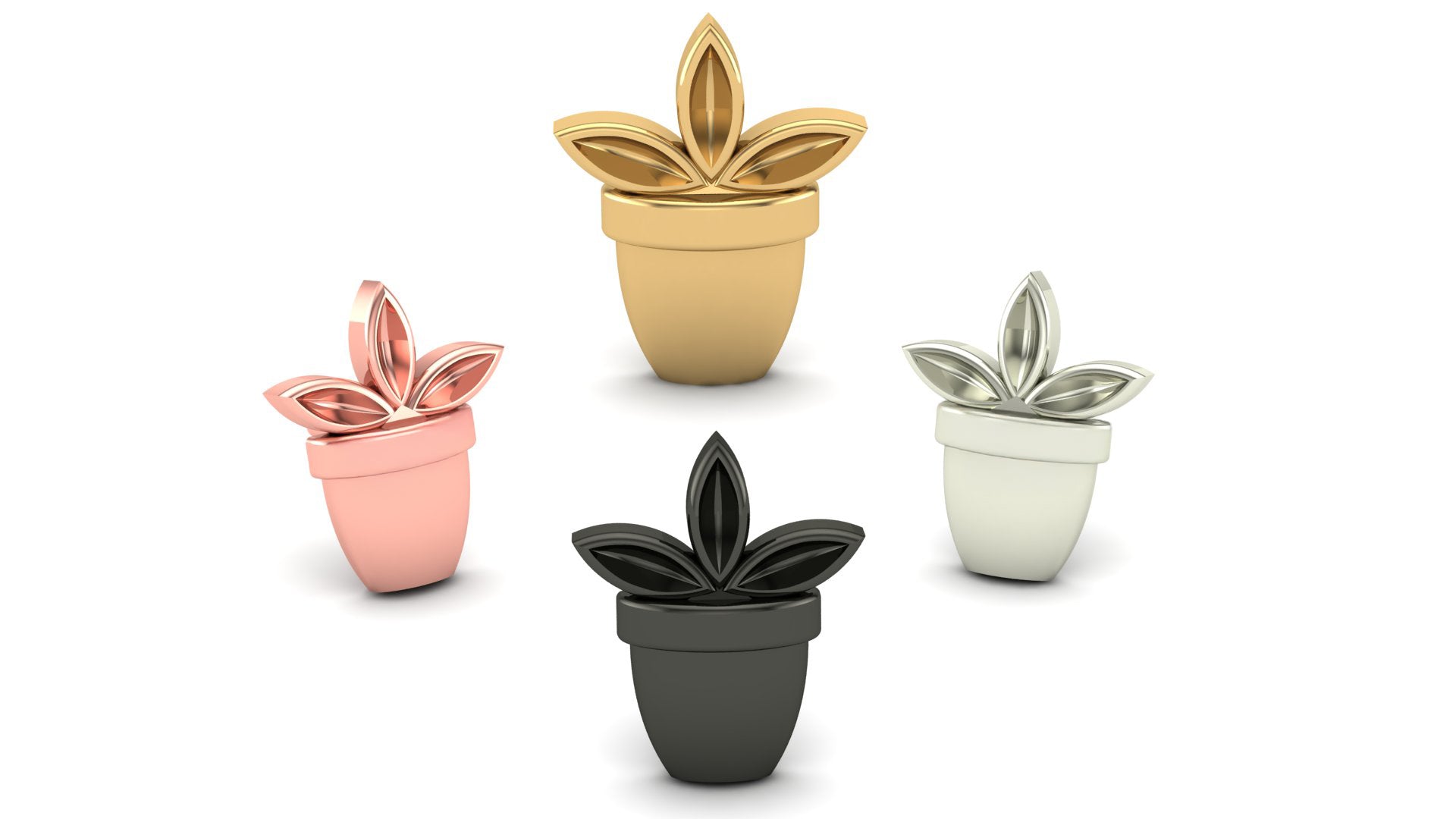 Lotus Cactus – Mushroom
